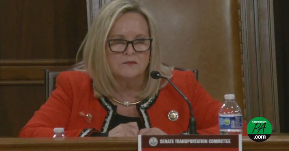 Pa. Senate panel reviews CDL safety after claims of licenses issued to ...