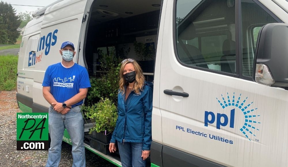 Free trees from PPL in time for spring planting | Snyder ...