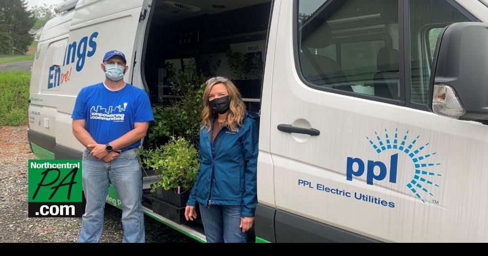 Free trees from PPL in time for spring planting | Snyder ...