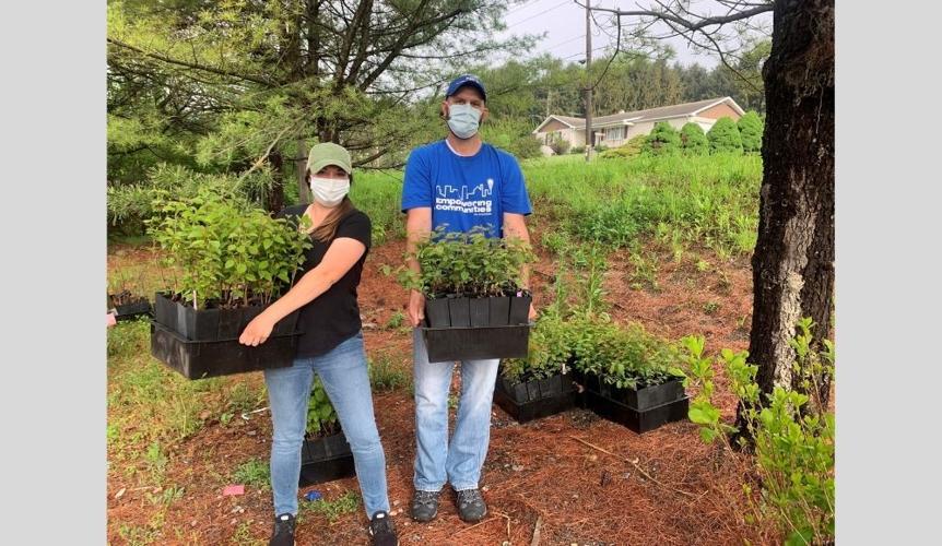 Free trees from PPL in time for spring planting | Snyder ...