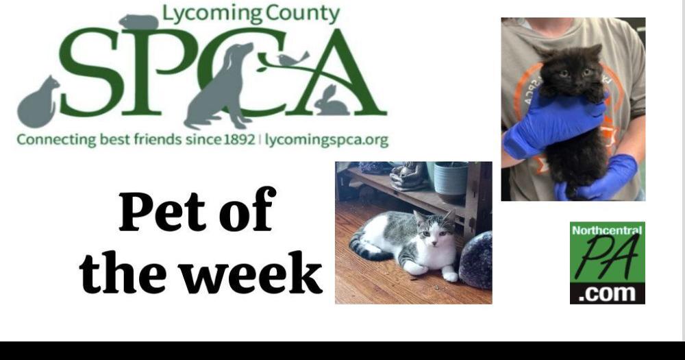 SPCA 7-10-23 | | northcentralpa.com