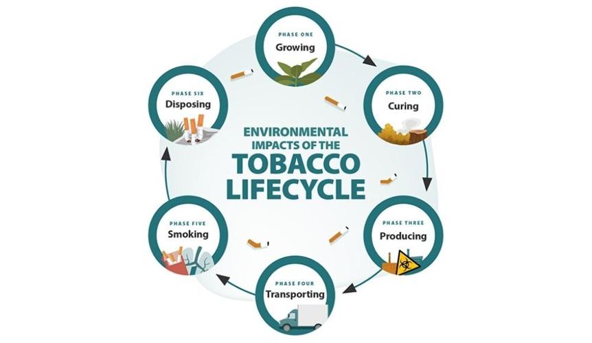 Did you know: Today is 'World No Tobacco Day' | Life | northcentralpa.com