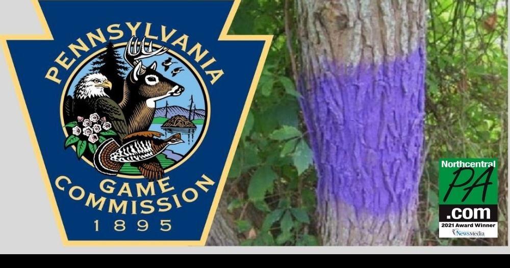 Reminder: Purple paint marks no trespassing | Outdoors | northcentralpa.com