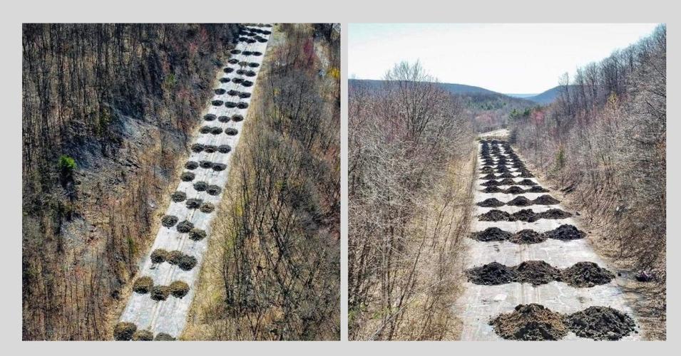 Centralia's graffiti highway becomes a memory | News | northcentralpa.com