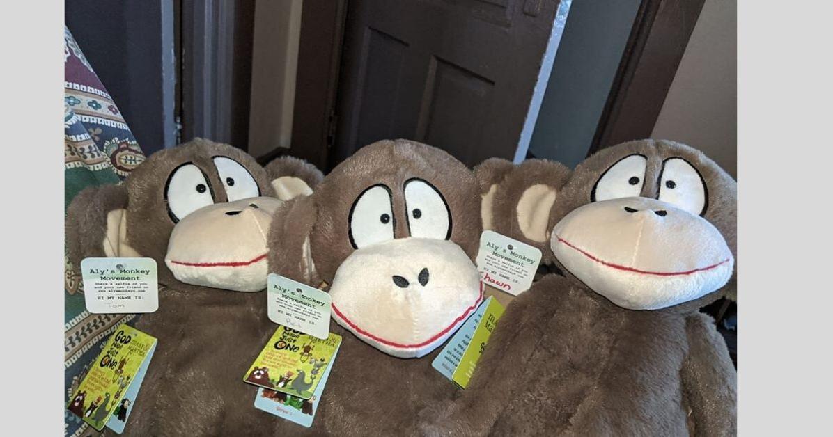 Aly's Monkeys moving across the globe | Community | northcentralpa.com