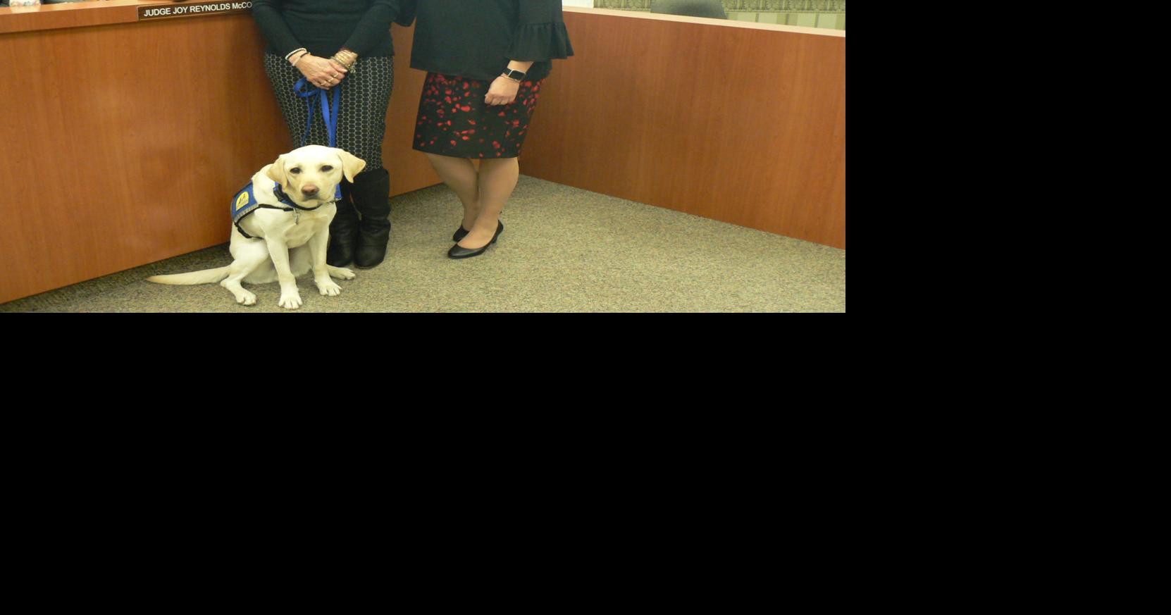 Lycoming County Courthouse Dog Helps Calm Children in the Courts | News ...