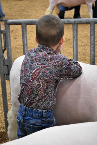 See what's new at this year's Farm Show | Community | northcentralpa.com