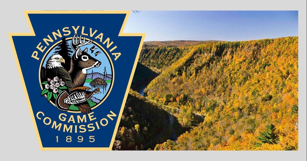 Over 500 acres added to PA game lands | Outdoors | northcentralpa.com