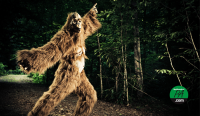 Bigfoot and Cryptid Festival returns to Elysburg | Community ...