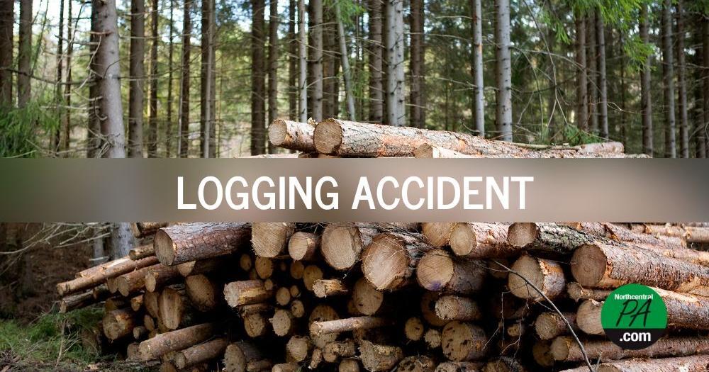 Fatal logging accident reported in Snyder County | Local ...
