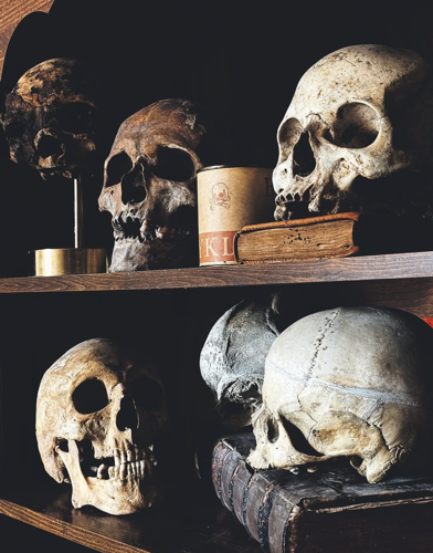 Police detail months-long grave robbing investigation | News ...