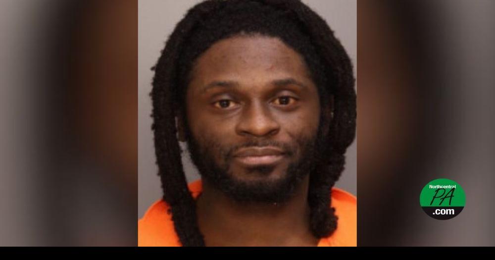 Clinton County cocaine dealer sentenced to decade of incarceration ...