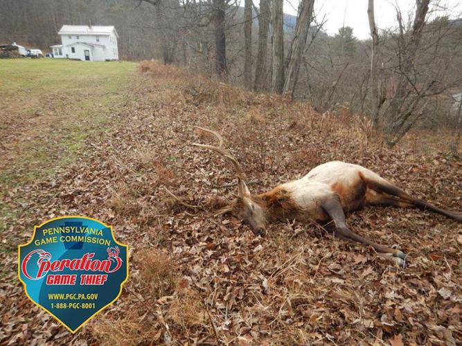 Pennsylvania Game Commission seeks public's help | State ...