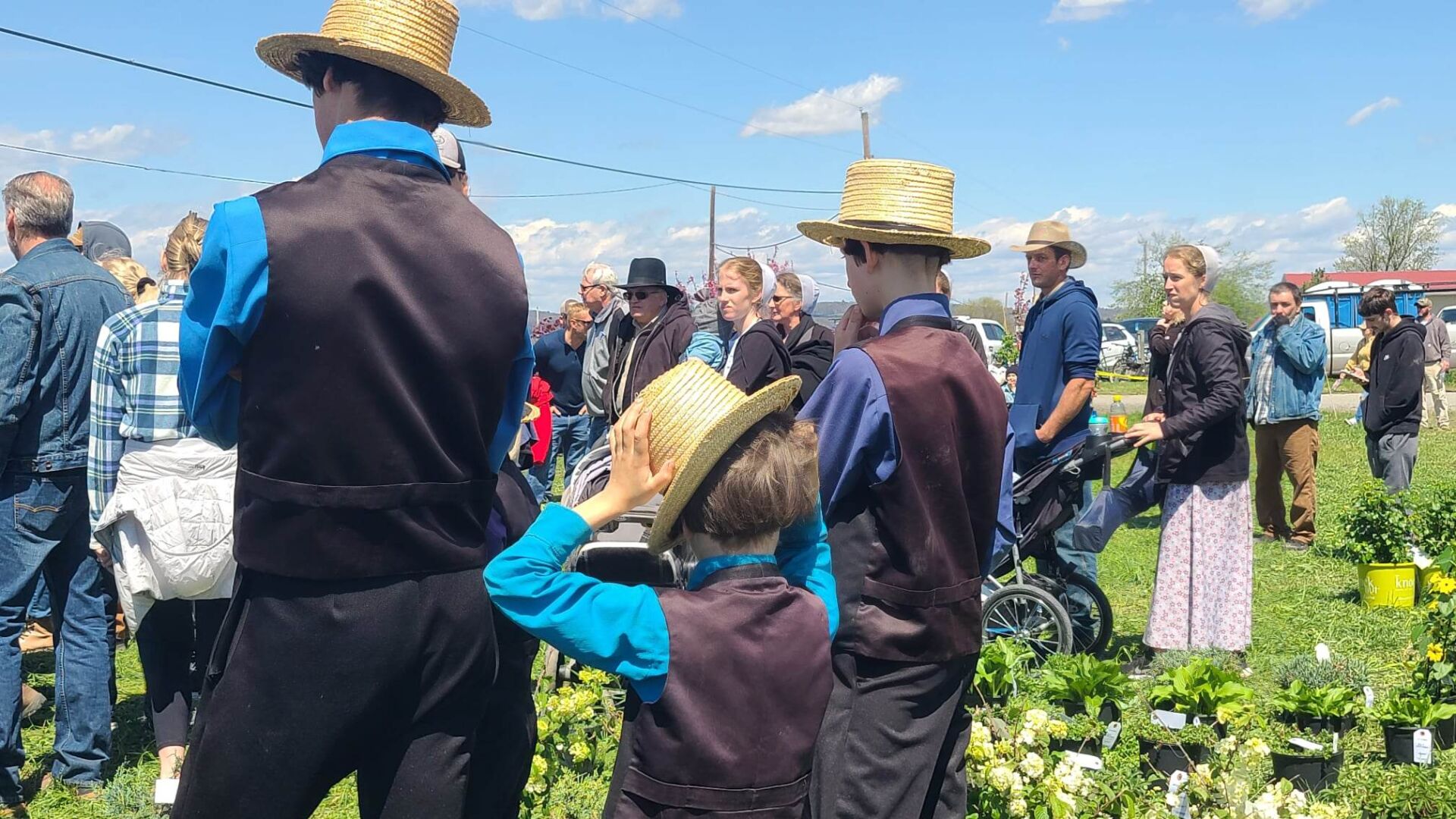 Annual Amish auction draws crowd | Community | northcentralpa.com