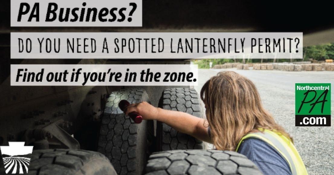 Spotted lanternfly permits required for companies whose employees ...