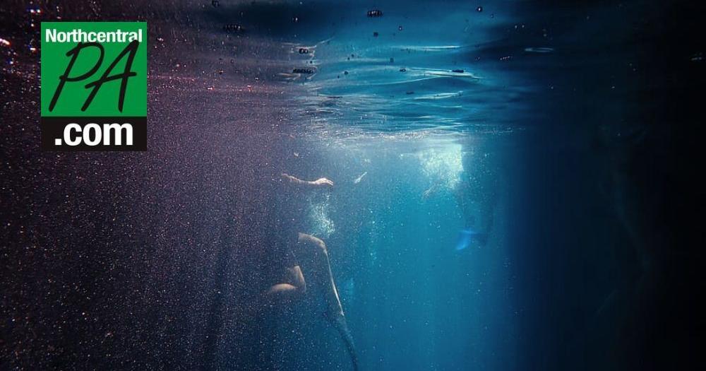 New 'alien-like' sea creature discovered in the ocean | News ...