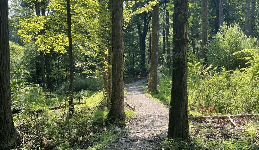 First stretch of Musser Gap Trail opens in Centre County | Outdoors ...