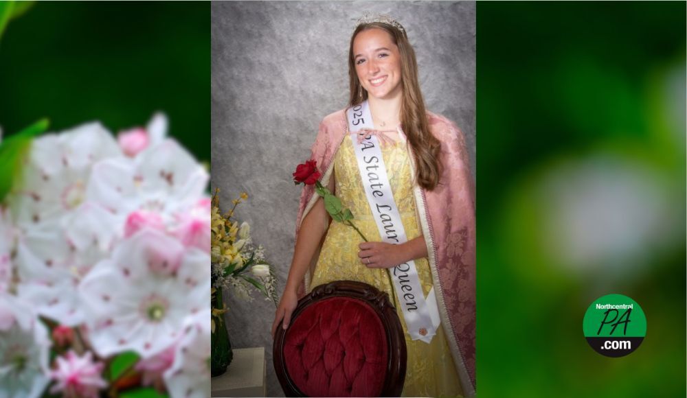 Party as the Pa. State Flower blooms at the 84th annual Laurel Festival ...