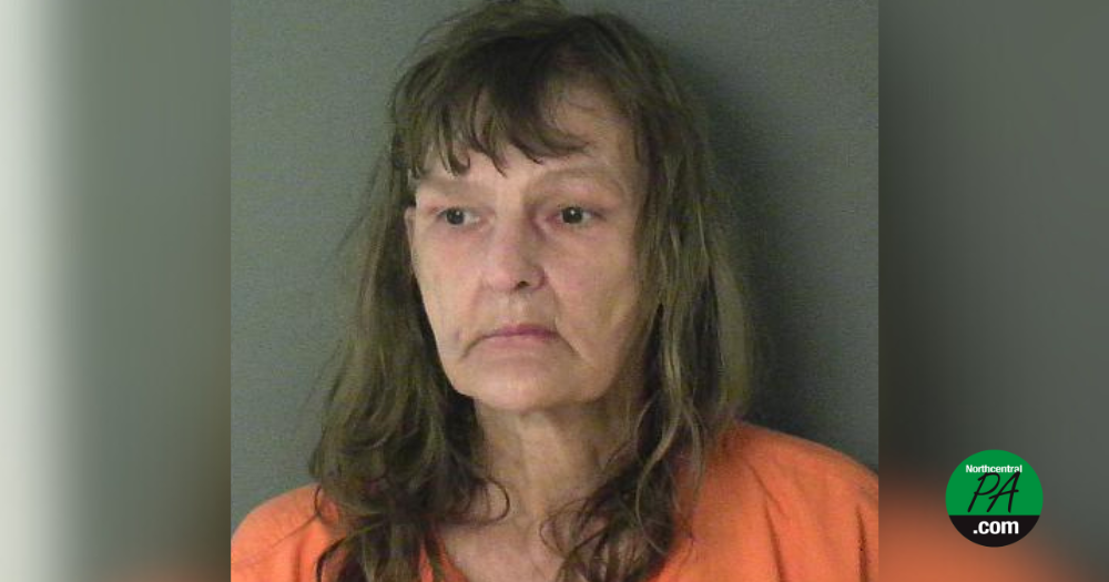 Woman gets jail time for domestic assault | News | northcentralpa.com