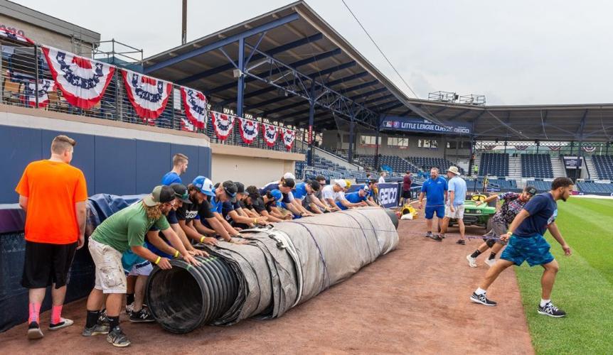 Wildcat Club supporters help roll out the green carpet at Historic ...
