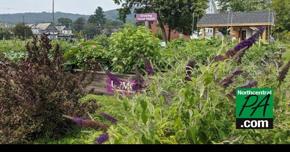 Mayor: Significant updates for Williamsport parks through 2023 ...