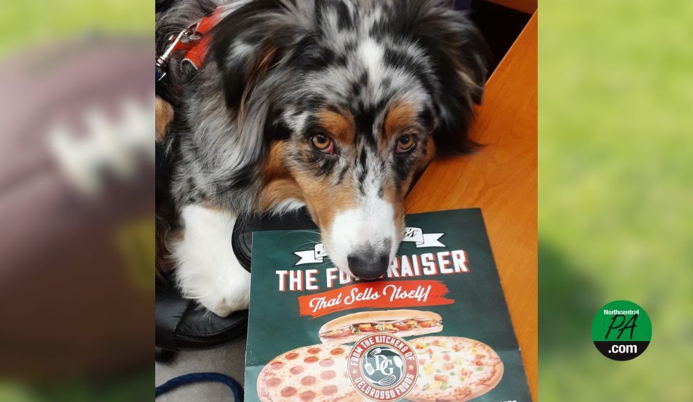 West End Library brings back Super Bowl pizza and hoagie fundraiser ...