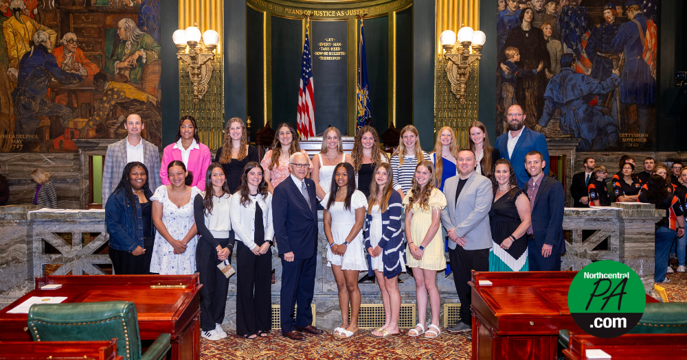 State champion Lady Lancers honored at State Capitol | Education ...