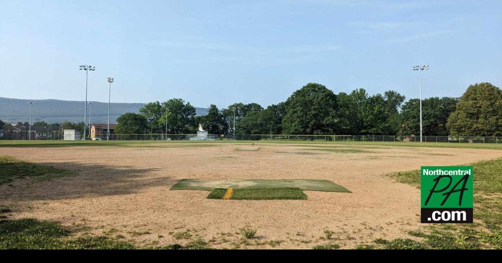 Lycoming College leasing Brandon Park baseball field: ‘Huge improvement ...