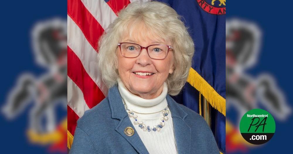 Rep. Pickett spearheads effort to remove offensive language from ...