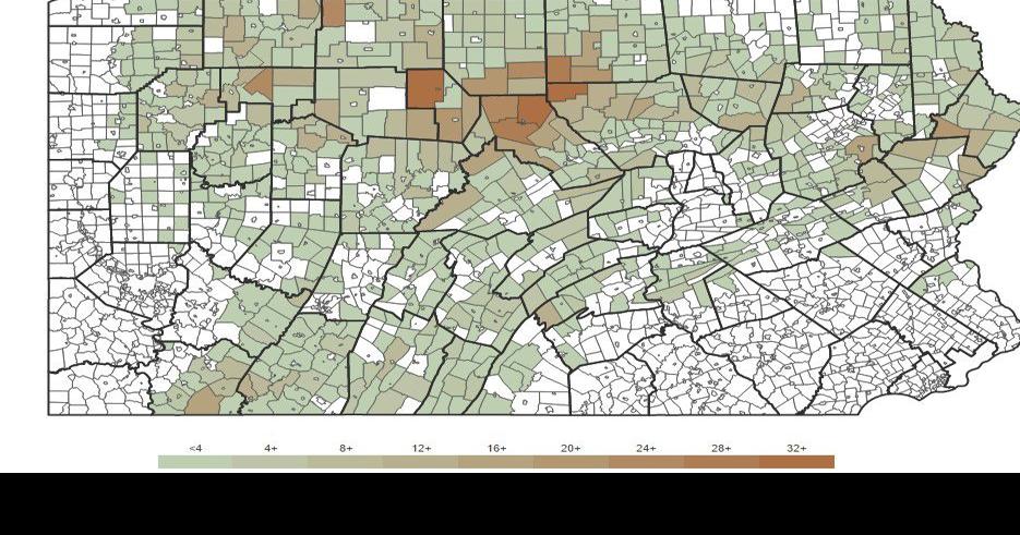 Clinton, Lycoming, Tioga Counties Among Top in State Bear Harvest ...