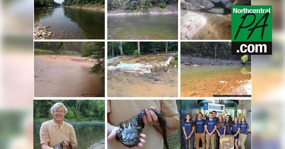 Eastern Hellbender habitats at risk from natural gas pollution | News ...