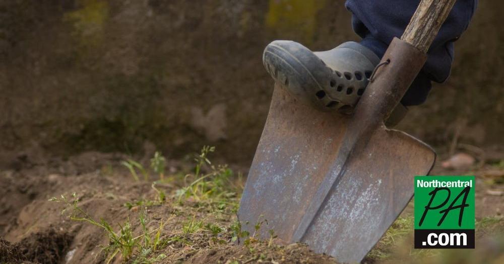 It's 811 Day: Are you digging safely? | Life | northcentralpa.com