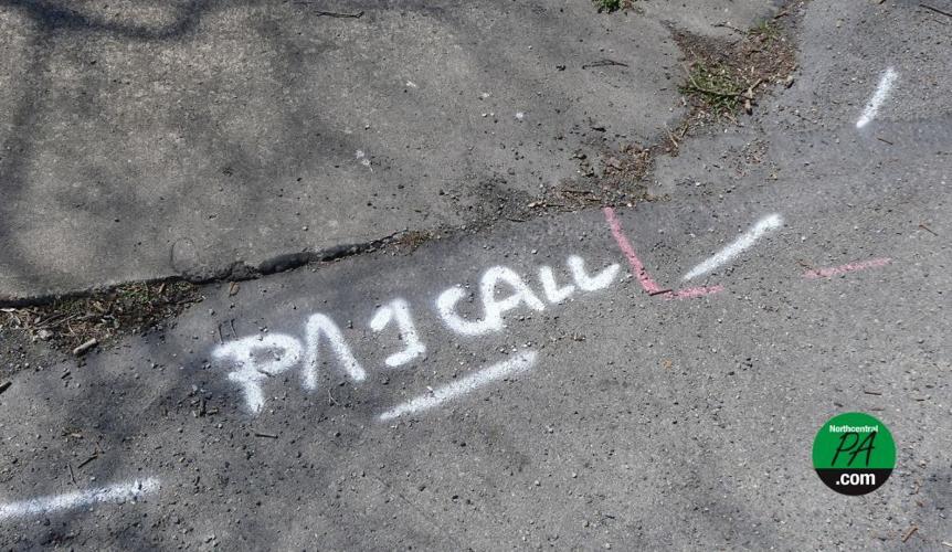 A PSA from PPL: Stay safe and be alert near electricity | Health ...