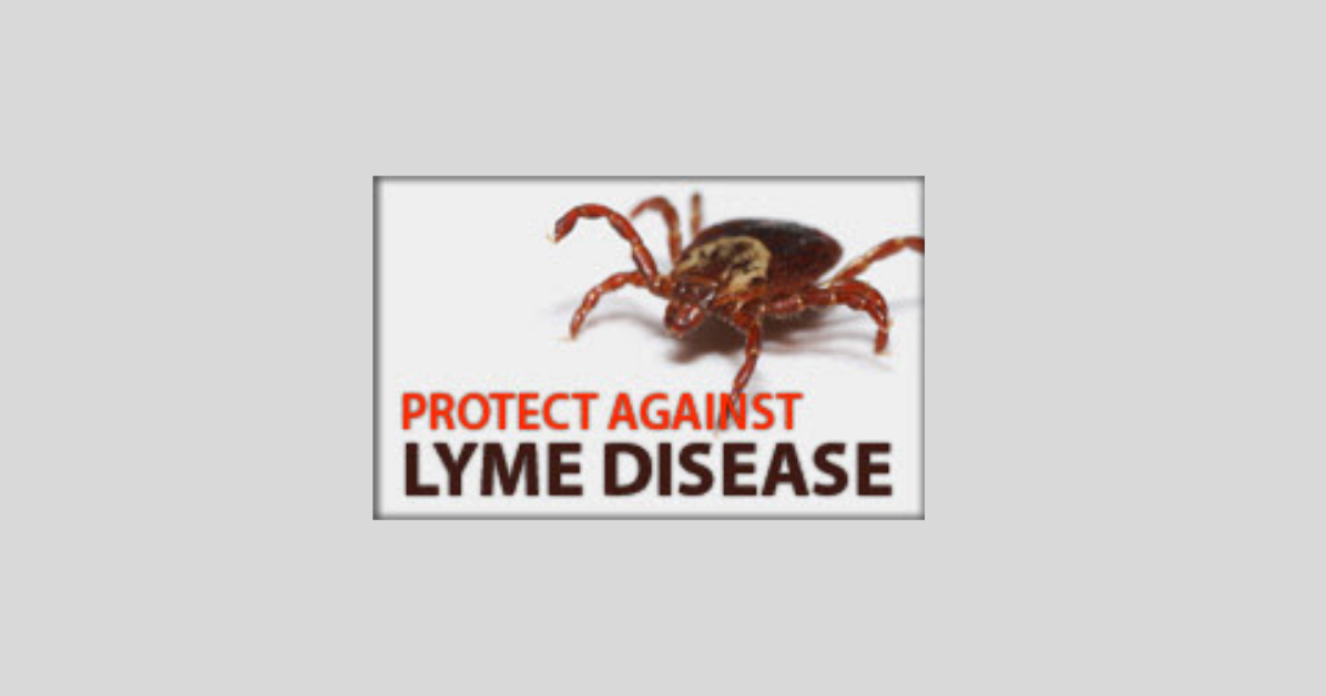 Found a tick on you? Send it for testing at the Pa. Tick Research Lab ...