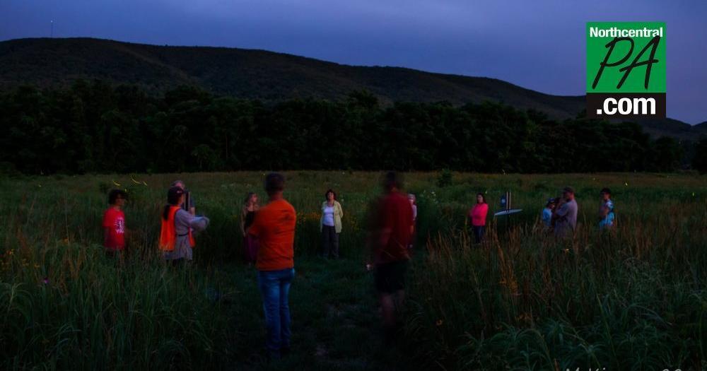 Take an immersive journey through the world of fireflies at the Robert ...