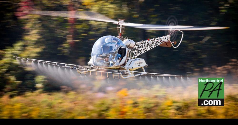Pilot killed in helicopter crash | News | northcentralpa.com