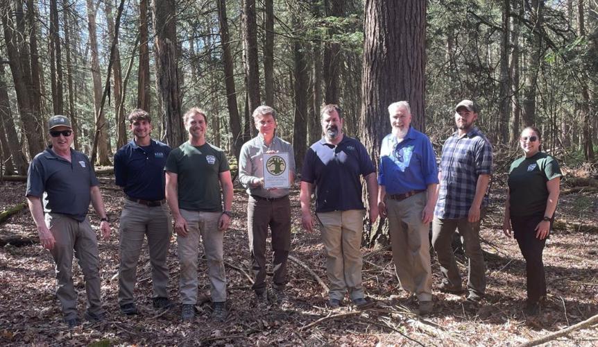 Lycoming, Tioga County forests added to Old-Growth Forest Network ...