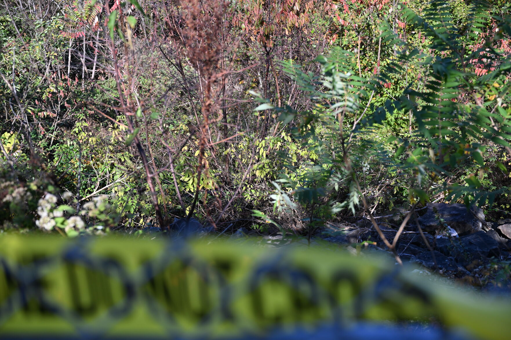 Breaking: Deceased in Route 15 crash at scenic overlook identified ...