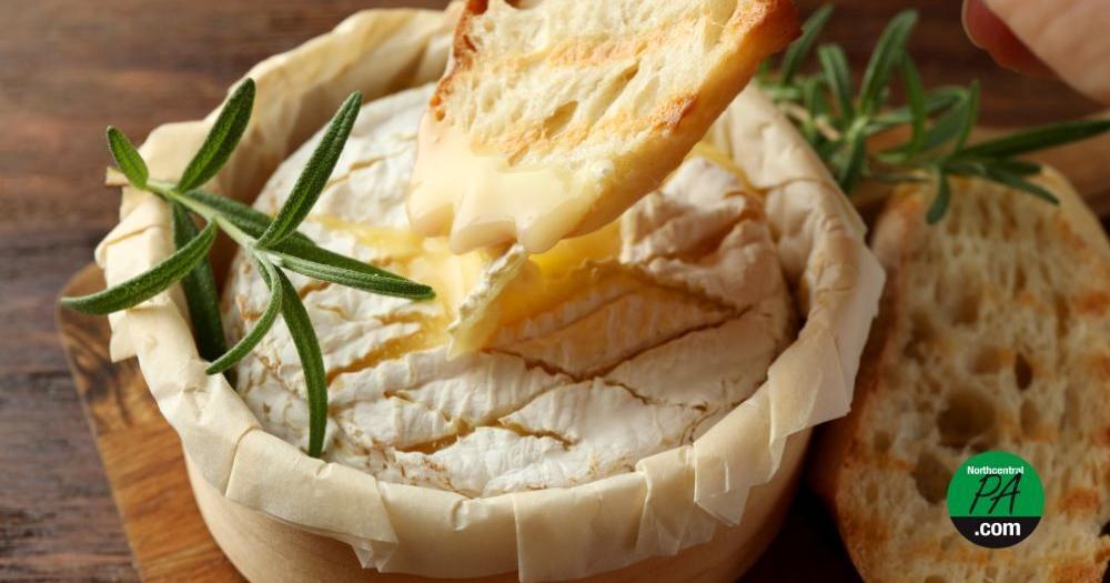 Could Brie cheese go extinct? Here's what scientists say | Life ...