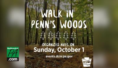DCNR to host guided hikes this weekend | Community | northcentralpa.com