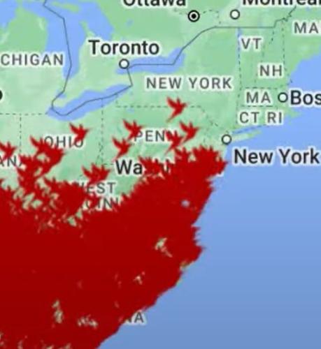 Ruby-throated hummingbirds will be returning soon to PA | Life ...