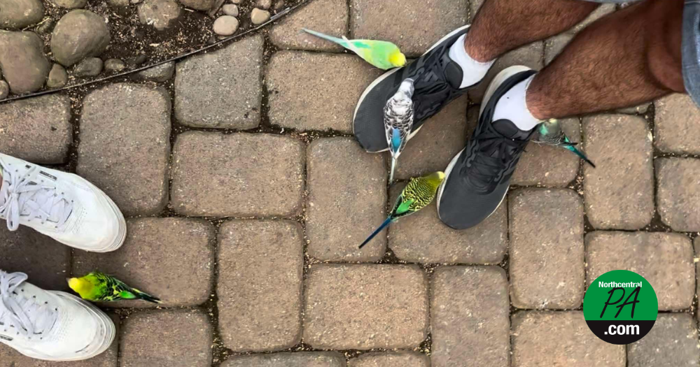 Reptiland cited for birds being crushed and killed | Business ...