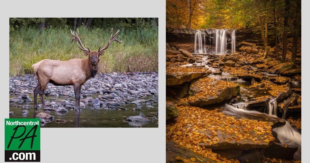 Locals earn awards in Pennsylvania outdoor photo contests | Community ...