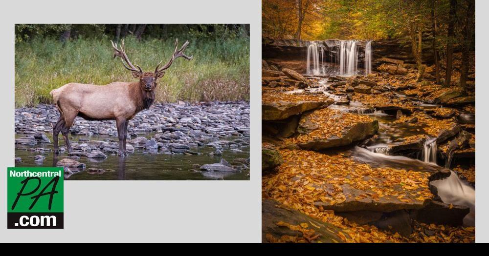 Locals earn awards in Pennsylvania outdoor photo contests | Community ...