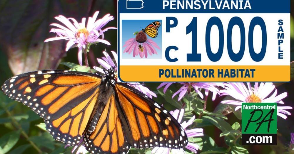 New 'Pollinator' license plates feature butterflies, bees, and ...