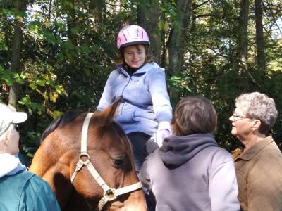 Horse riding school seeking volunteers for the 2024 season | Community ...