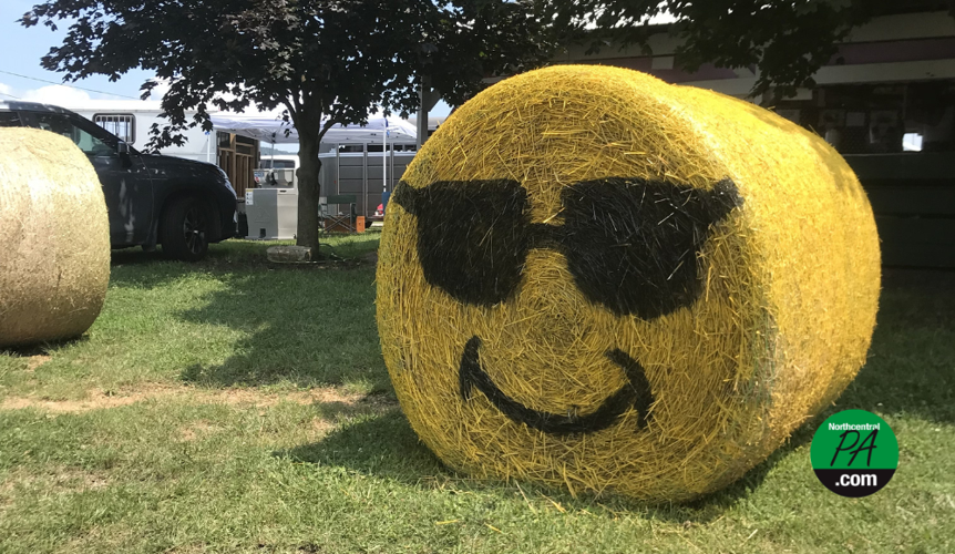 Clinton County Fair seeking participants in week of fun | Community ...