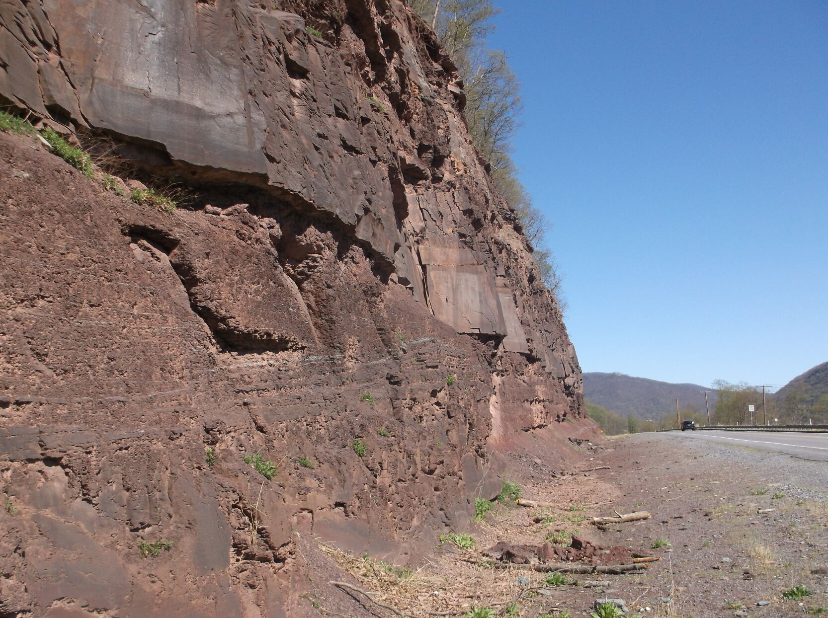 Hynerpeton for Harrisburg: Local students propose state fossil ...