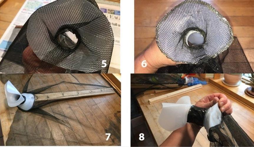 How to fight the spotted lanternfly with your own circle trap | Life ...