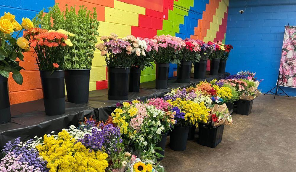 Dillon Floral celebrates 150 years, raises funds for United Way ...